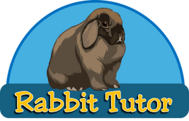 Showmanship For Beginners